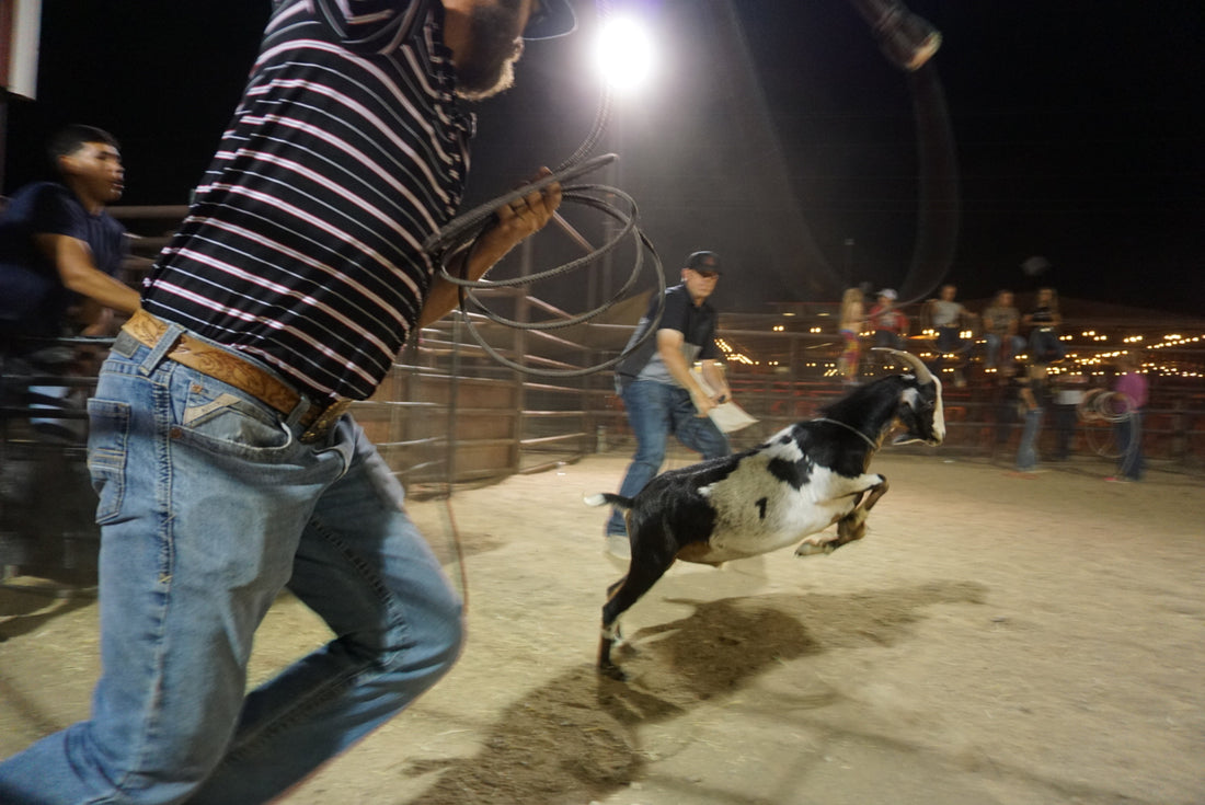Goat Daddy Roping